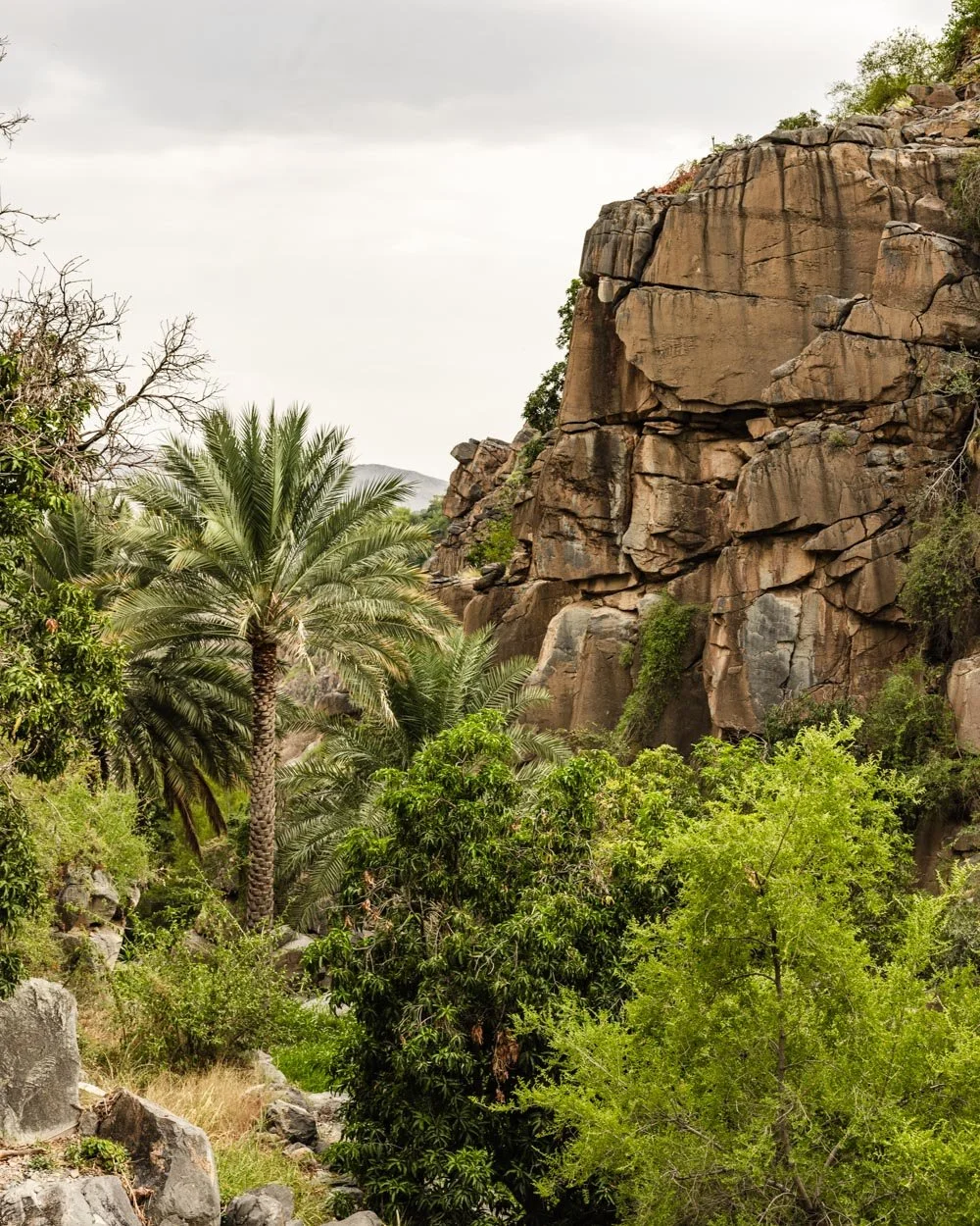 Misfat al Abriyeen: how to make the most of Oman's spectacular mud ...