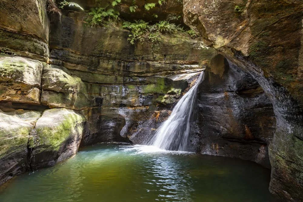 Rio Agrio: strolling through Costa Rica's very own Jurassic Park — Walk ...