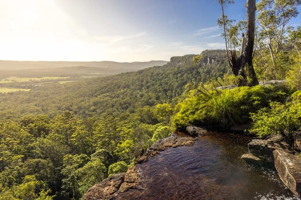 Dovedale Walk - the best easy walk in the Peak District? — Walk My World