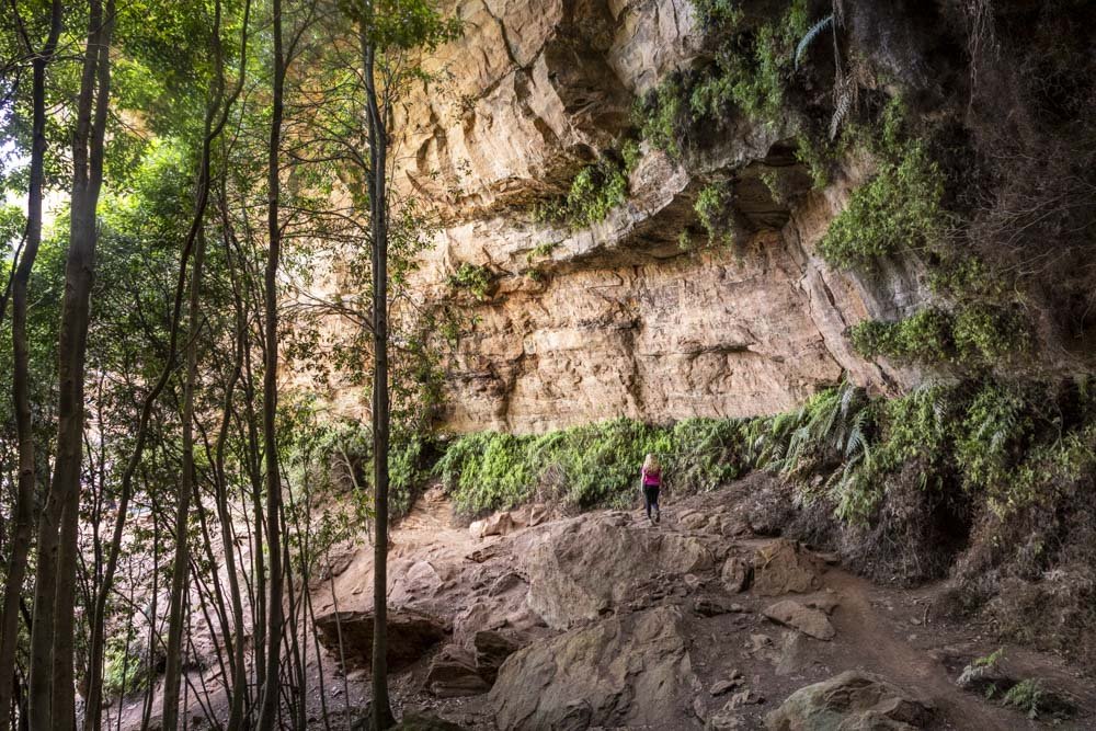 Hanging Rock: is this the most magical view in the Blue Mountains ...