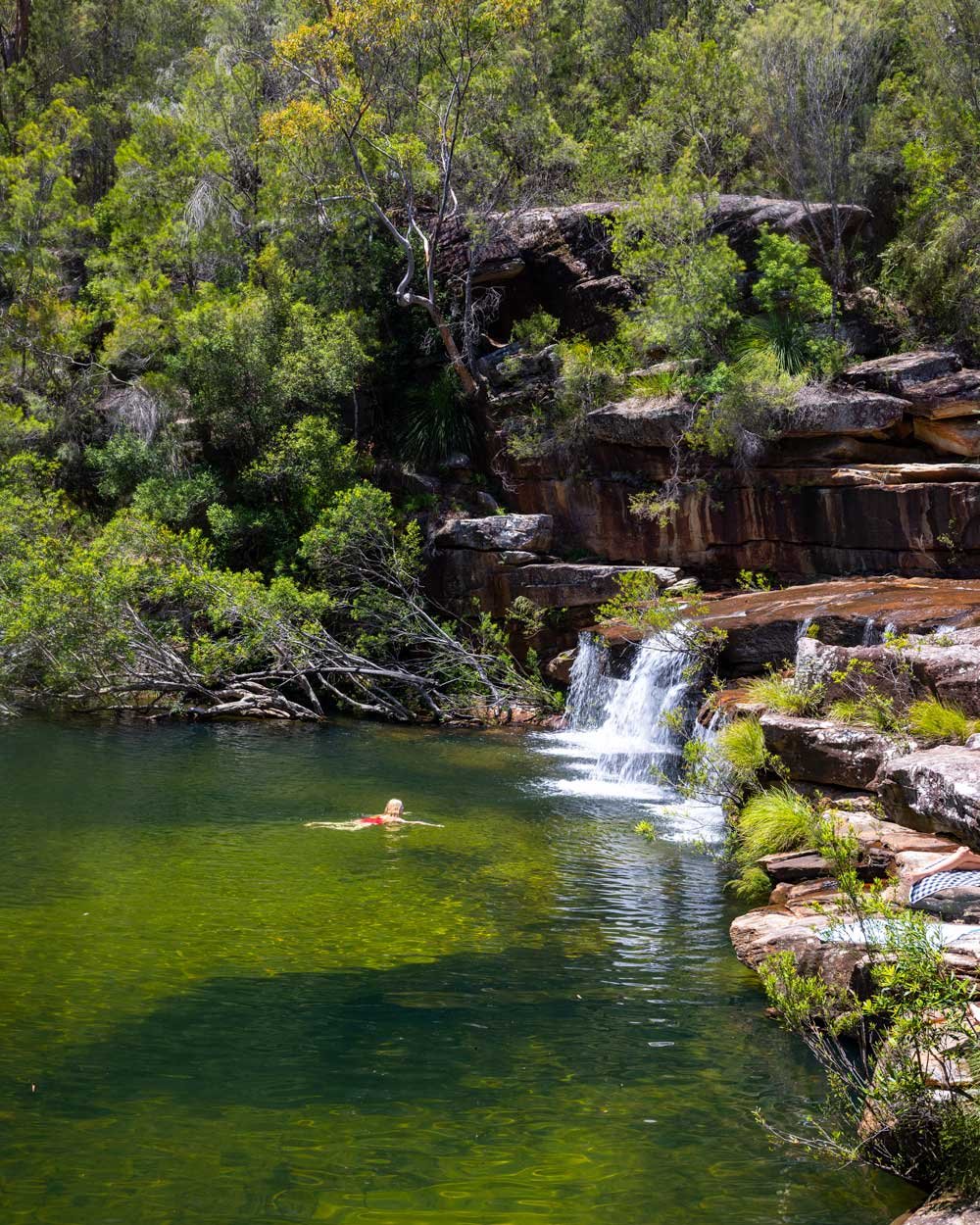 Winifred Falls: a spectacular waterfall you can swim under — Walk My World