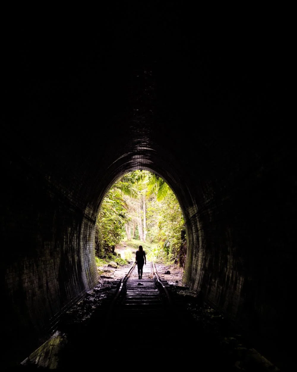 Why you should visit the incredible Helensburgh Glow Worm Tunnel at ...