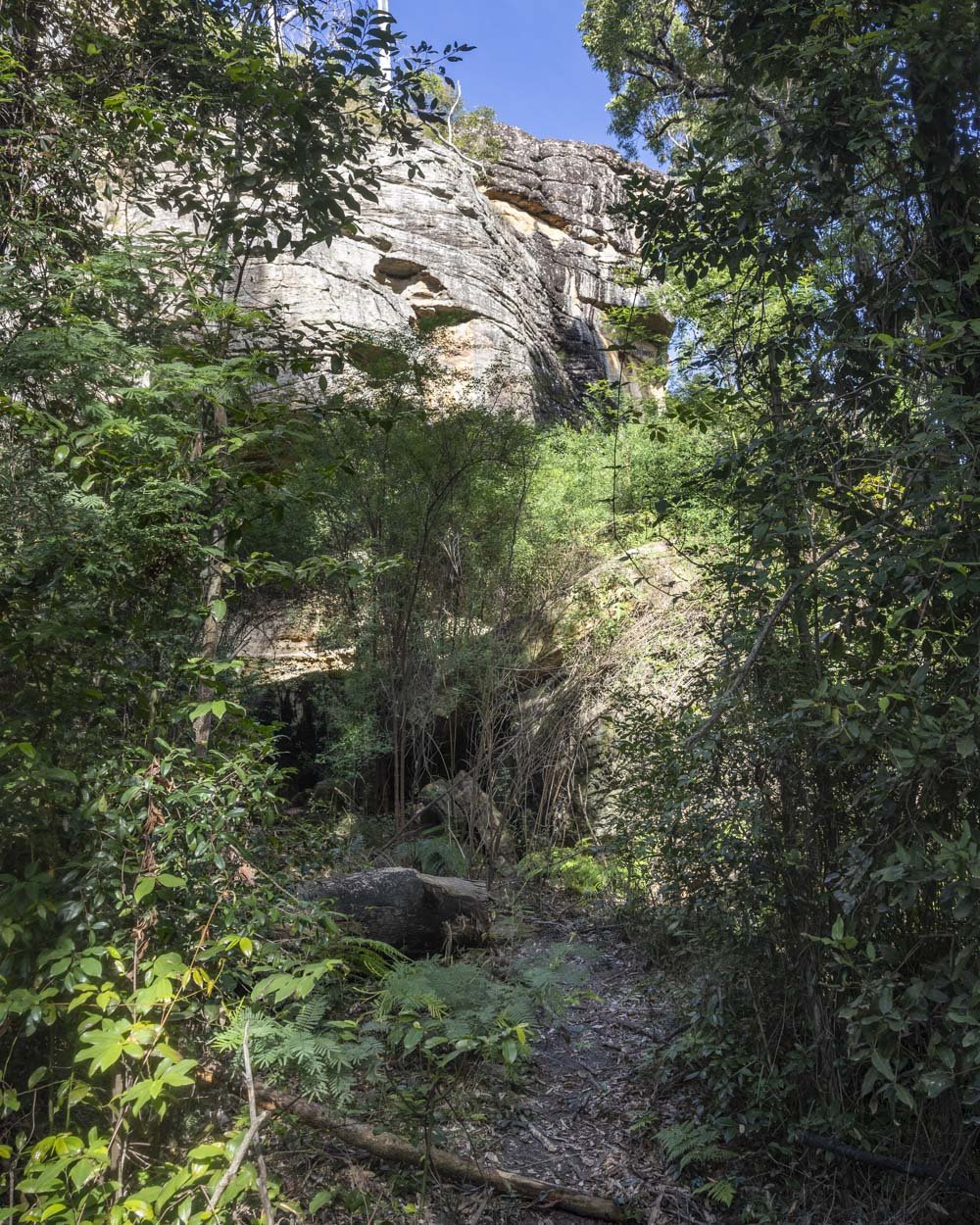 How to find the Bugong secret grotto near Nowra — Walk My World