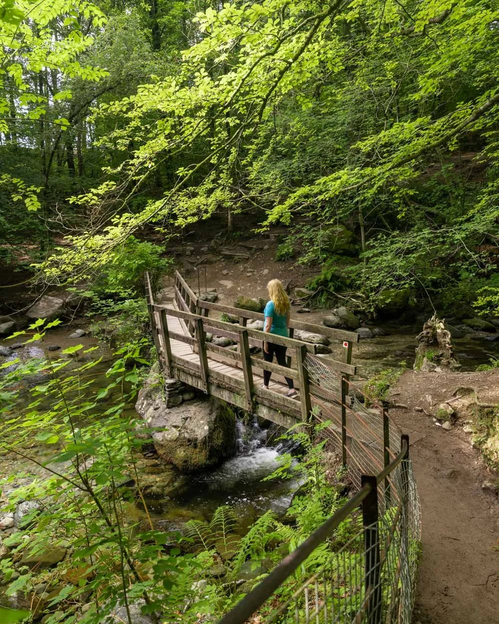Stock Ghyll Force: Ambleside's beautiful ravine waterfall — Walk My World