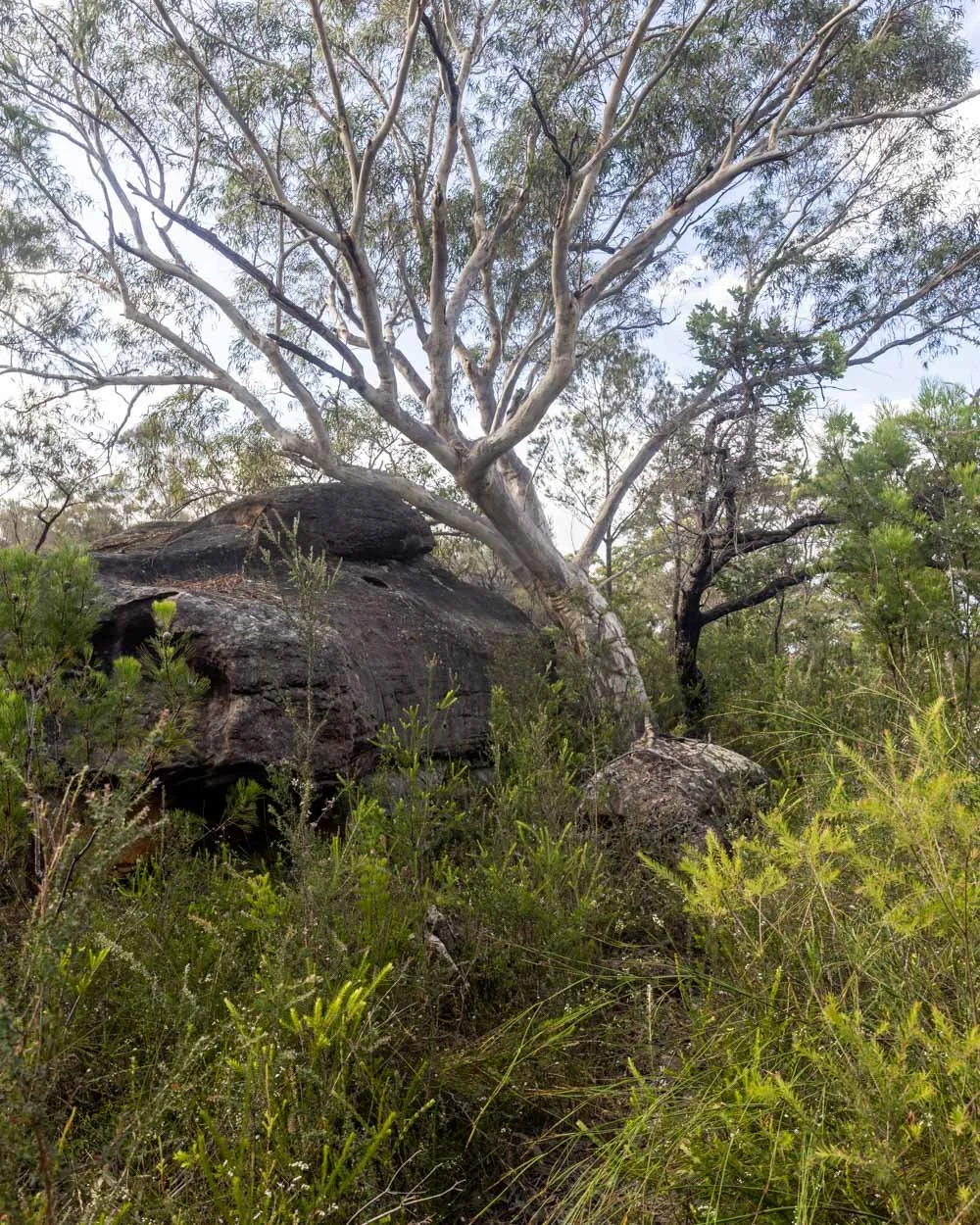 Refuge Bay: an amazing beach waterfall and secret infinity pool — Walk ...
