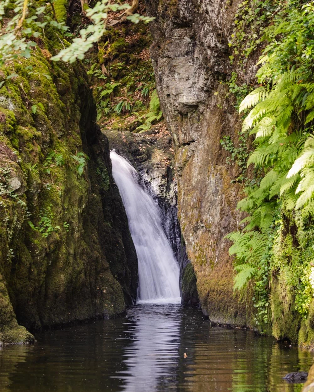 Ffynone Waterfall: wild swimming in Pembrokeshire's hidden fairy grotto ...
