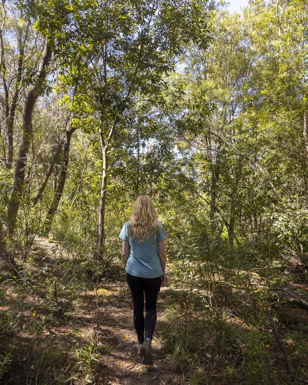 How to find the secret swimming hole at Ku-ring-gai's Lower Gledhill ...