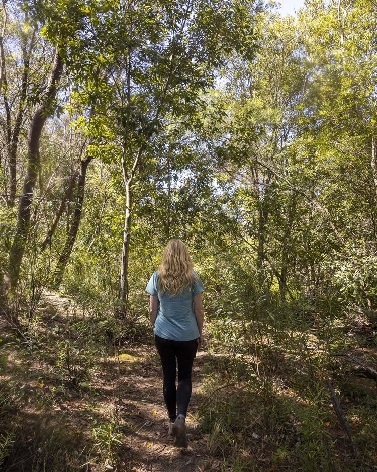 How to find the secret swimming hole at Ku-ring-gai's Lower Gledhill ...