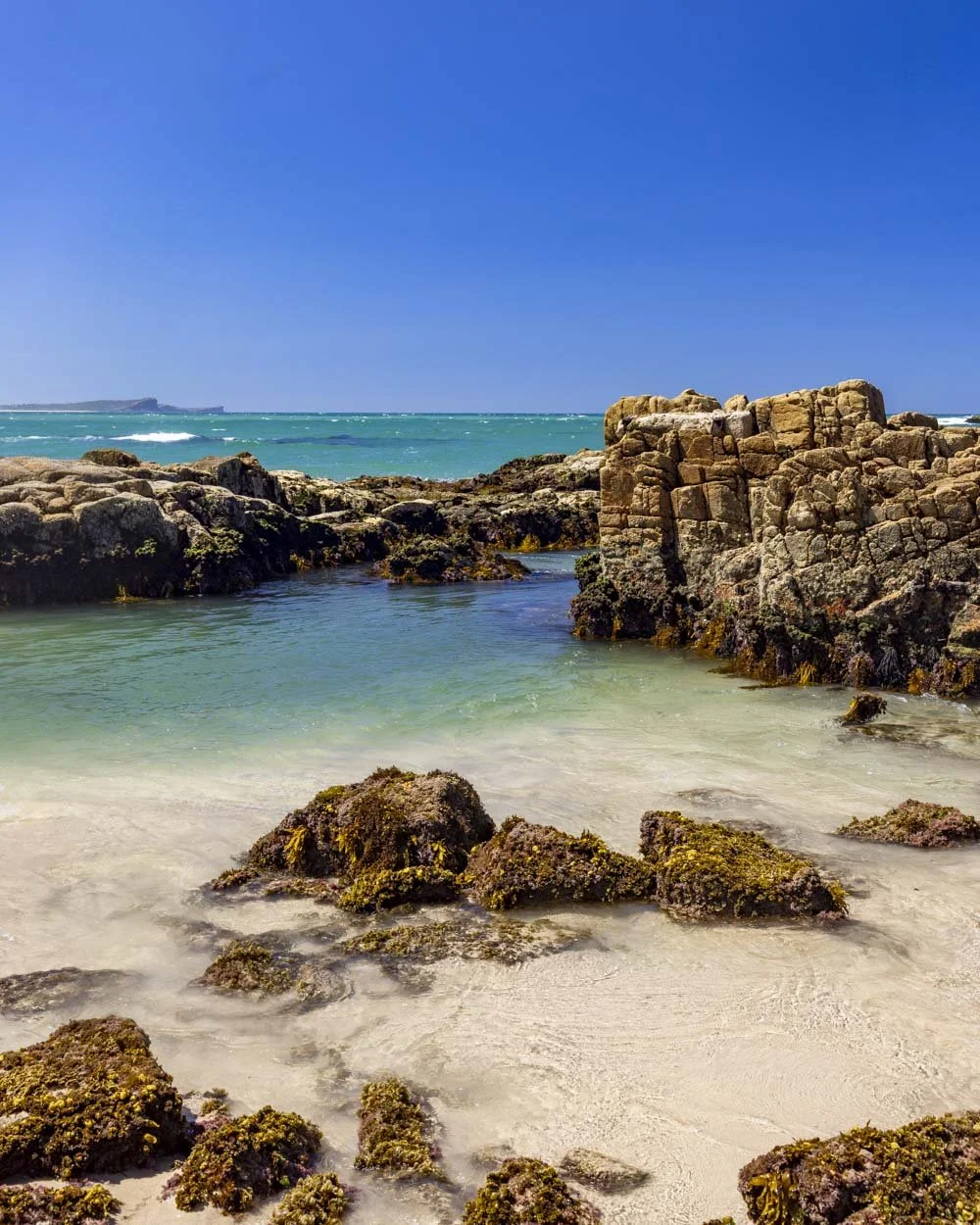 How to find the stunning Diamond Head rockpools — Walk My World
