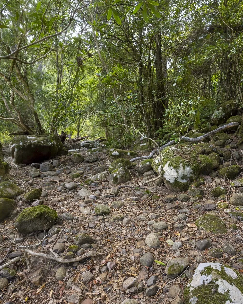 Lone Palm Pool: is this Kangaroo Valley's best hidden swimming spot ...