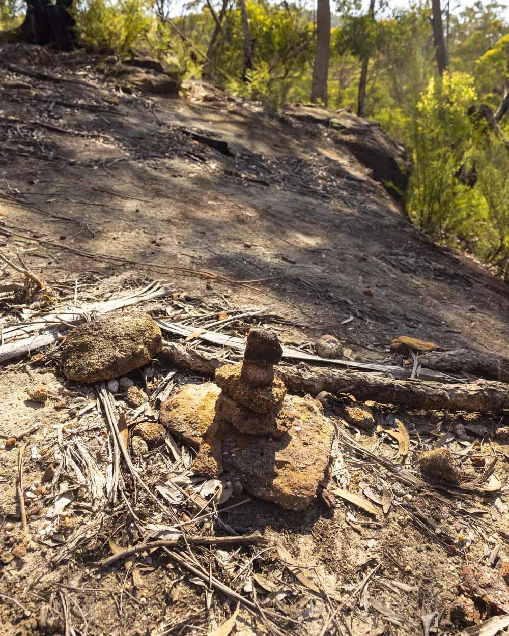 Dobsons Cave: a hidden swimming hole in the Southern Highlands — Walk ...