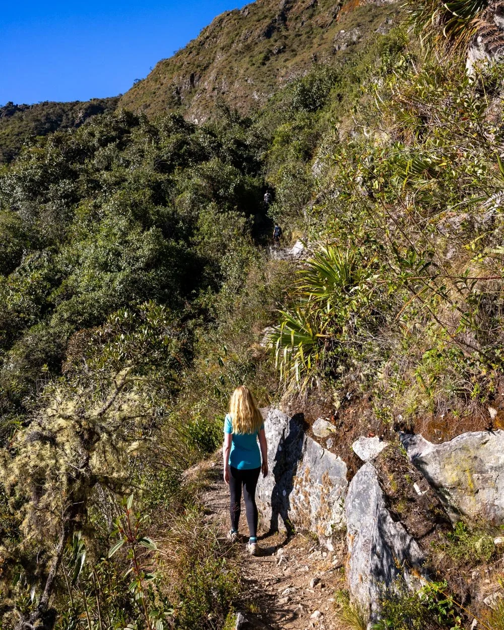 Machu Picchu Mountain: how hard the hike is plus a secret insider tip ...