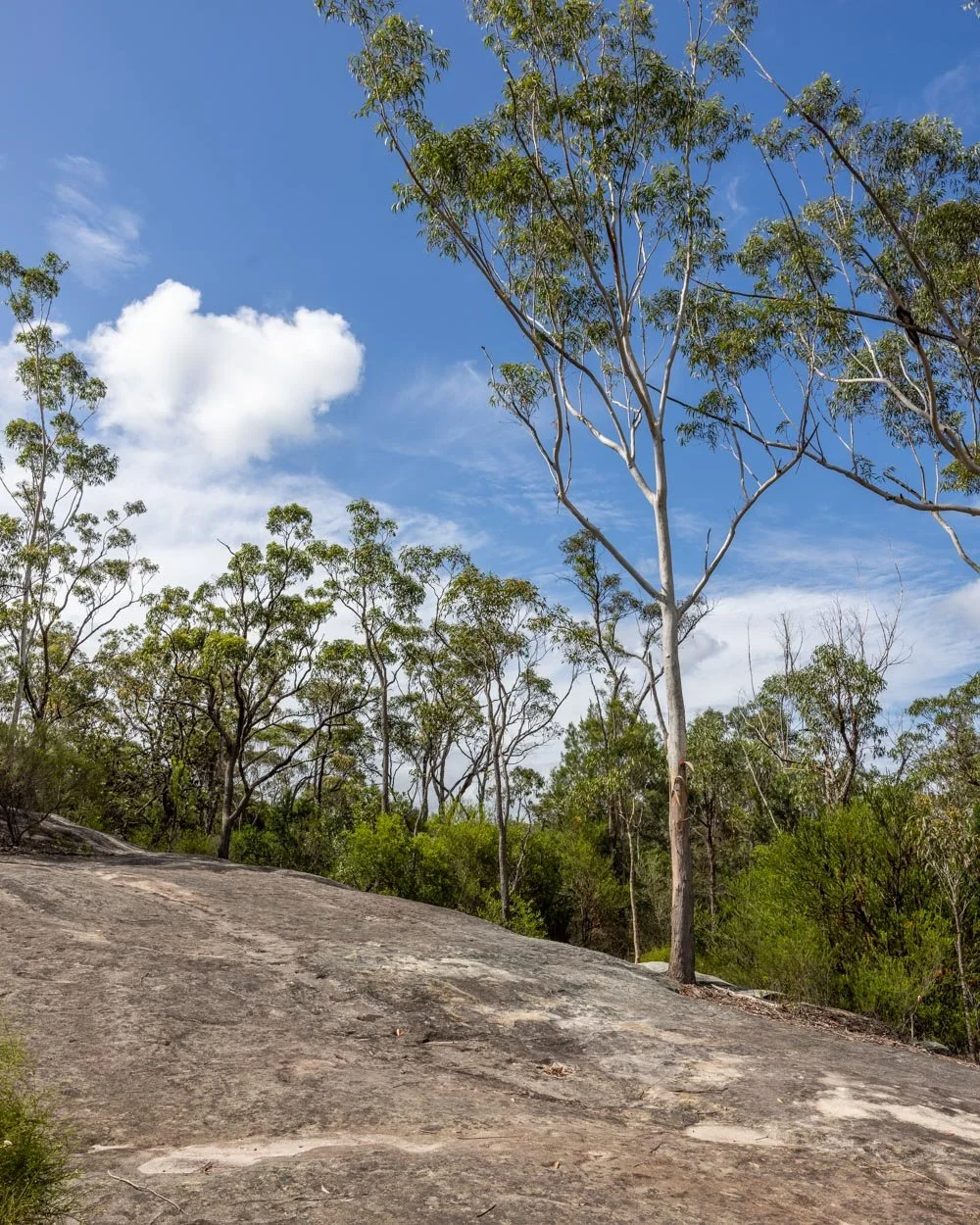 How to find Berowra's Natural Arch via the quickest and easiest route ...