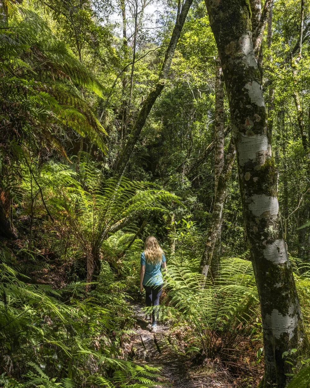 The magical swimming holes of Pierces Pass — Walk My World