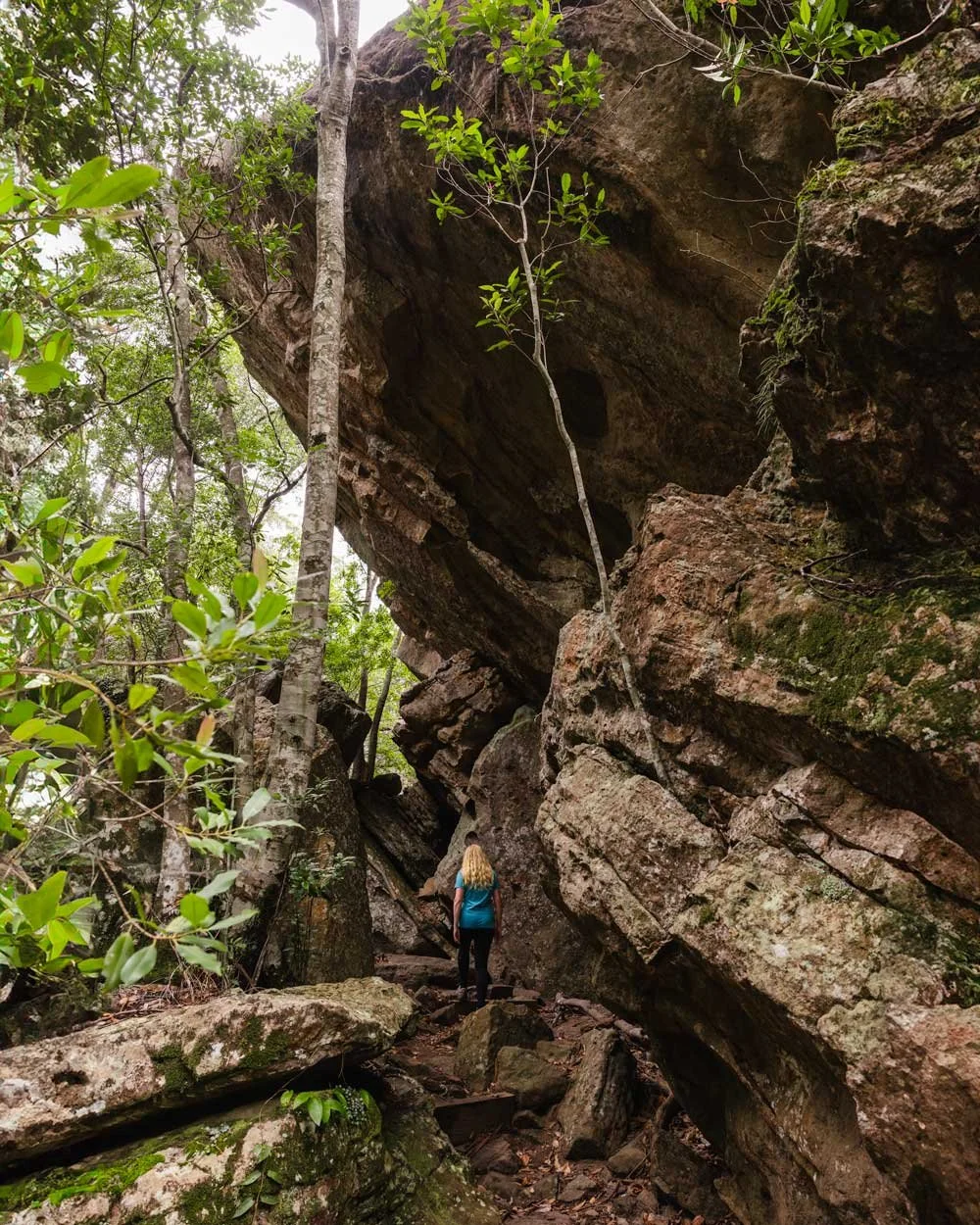 Bomaderry Creek: overhangs, mossy gullies and wild swimming in Nowra ...