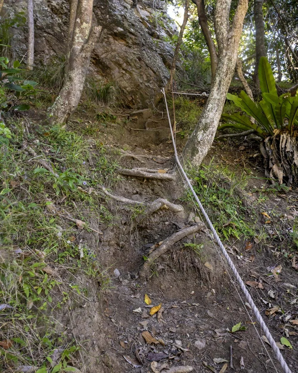 How to find Forster's magical Fairy Pool — Walk My World