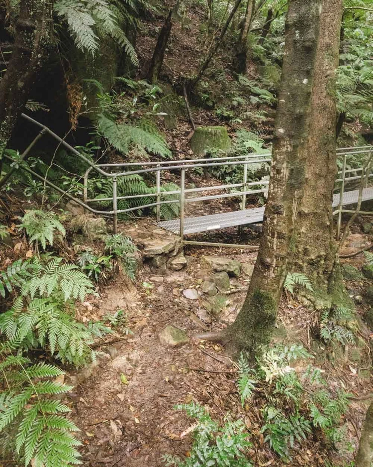 How to find the secret infinity pool in the Blue Mountains — Walk My World