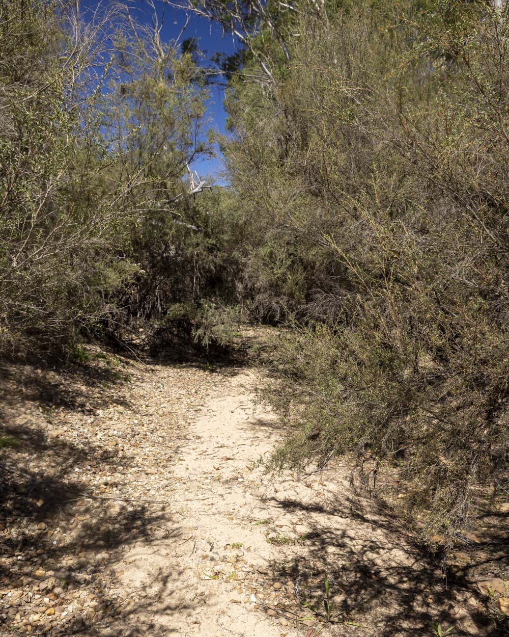 Big Hole and Marble Arch Track: an epic cave and gorge walk you shouldn ...