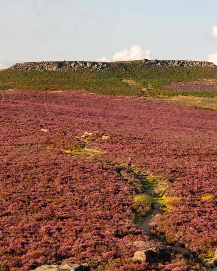 The Over Owler Tor & Higger Tor Walk: sunset, heather and spectacular ...