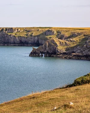 Barafundle Bay Walk: is this the best coastal walk in Wales? — Walk My ...