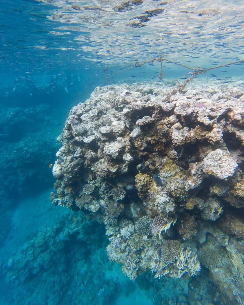 14 things to do in Dahab that will instantly put it on your bucket list ...