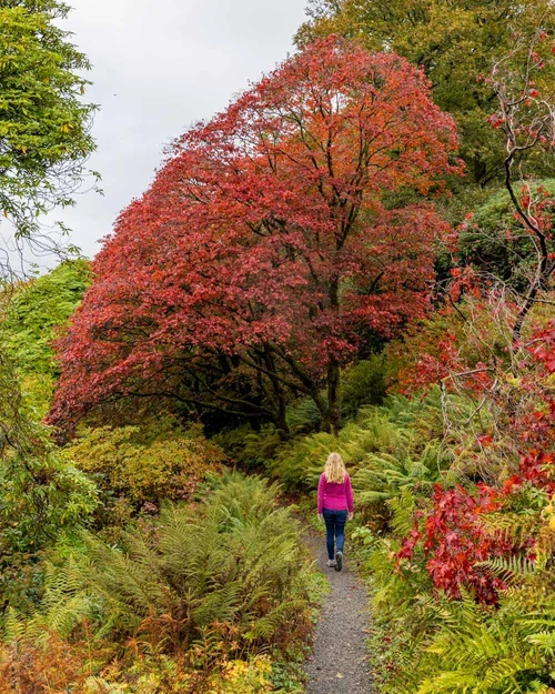 14 incredible things to do in Coniston including secret spots — Walk My ...