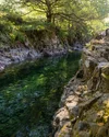 Galleny Force: wild swimming at Borrowdale's fairy glen — Walk My World