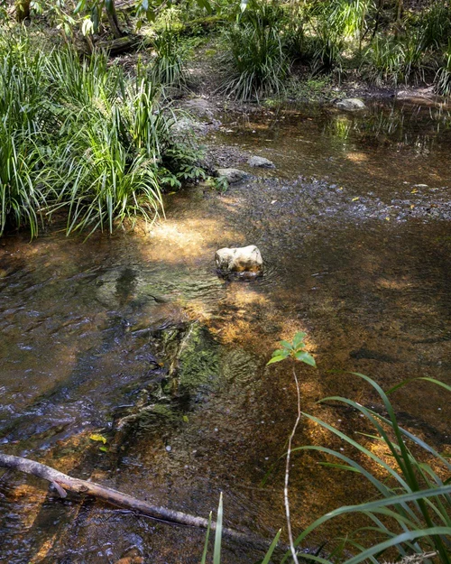 Potoroo Falls: a stunning gorge waterfall swimming hole near Barrington ...
