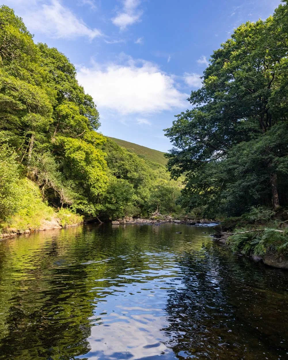 Sharrah Pool: is this the best wild swimming spot in Dartmoor? — Walk ...