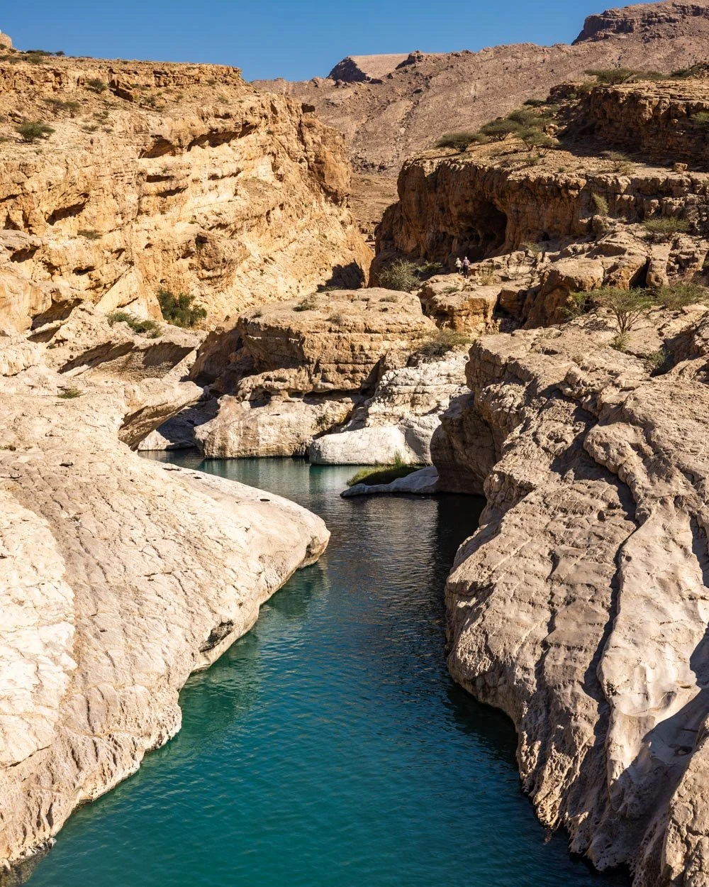 Wadi Bani Khalid: how to escape the crowds at Oman's most popular wadi ...