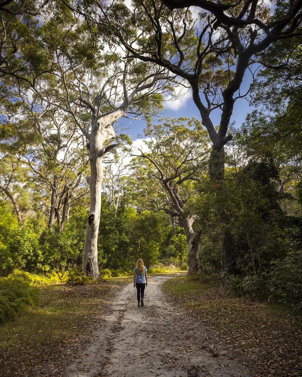 Honeymoon Bay and Target Beach: some of the best beaches in Jervis Bay ...