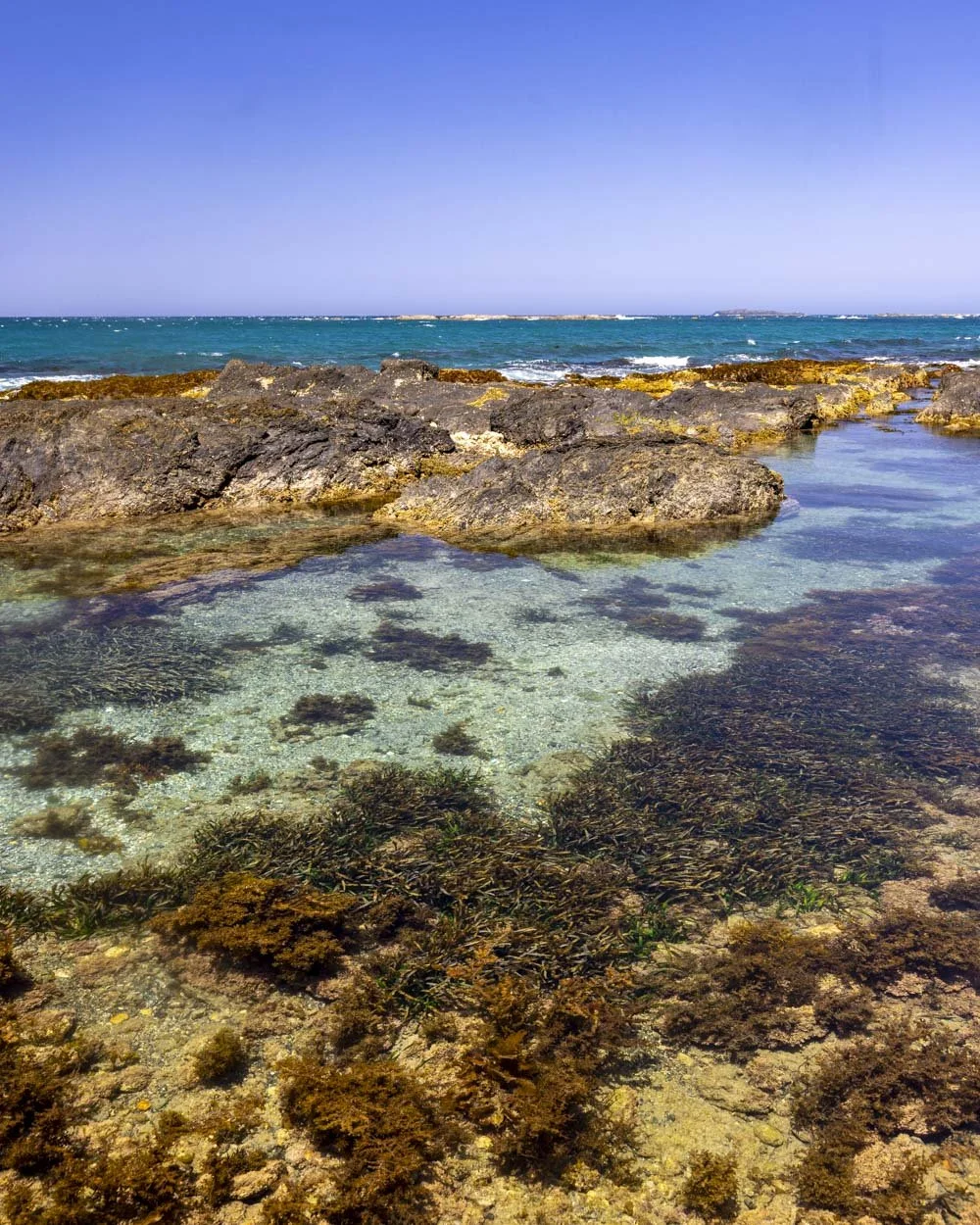 Lilli Pilli Rockpool: a little known swim spot in Batemans Bay — Walk ...