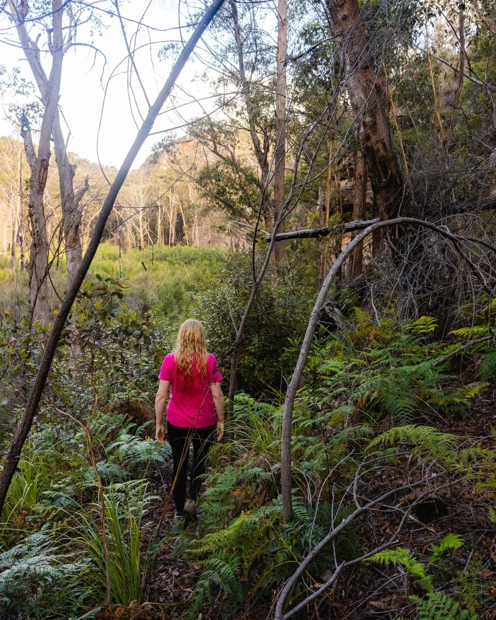 Pool of Diana: wild swimming in the Blue Mountains' hidden paradise ...