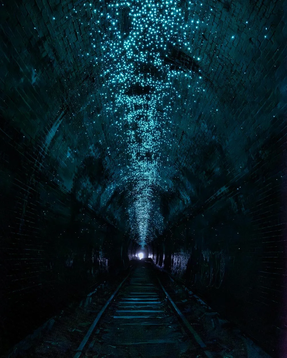 Why you should visit the incredible Helensburgh Glow Worm Tunnel at ...