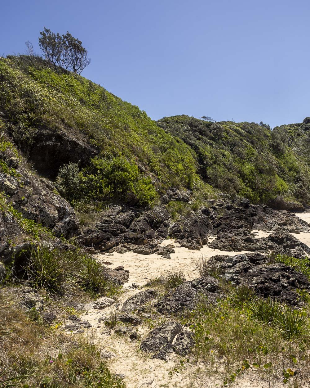 How to find the secret Wave Machine rockpool near Forster — Walk My World