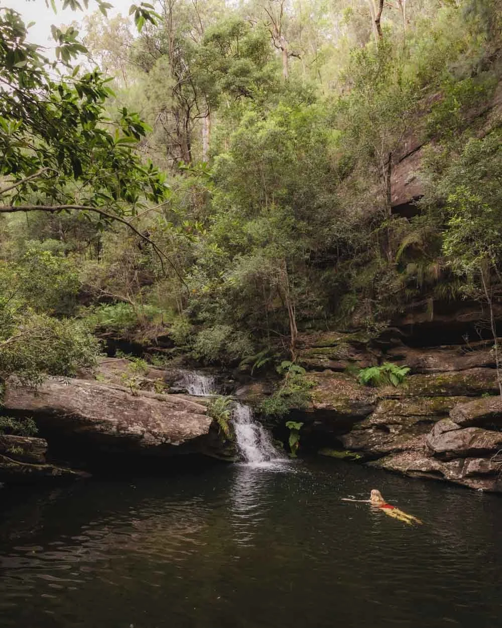 Shaws Creek Pool: a hidden swimming hole in the Blue Mountains — Walk ...