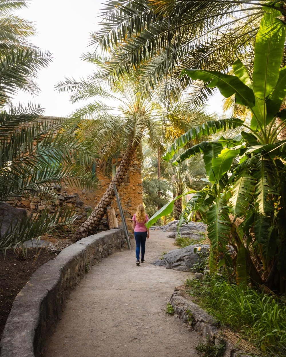 An exciting Nizwa itinerary: secret wadi pools, forts and a night time ...