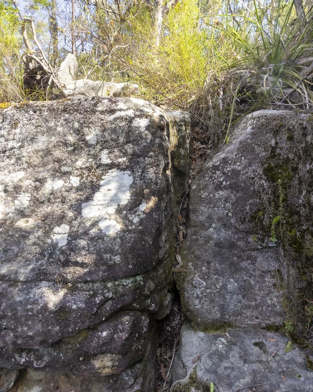 How to find the secret swimming hole at Ku-ring-gai's Lower Gledhill ...