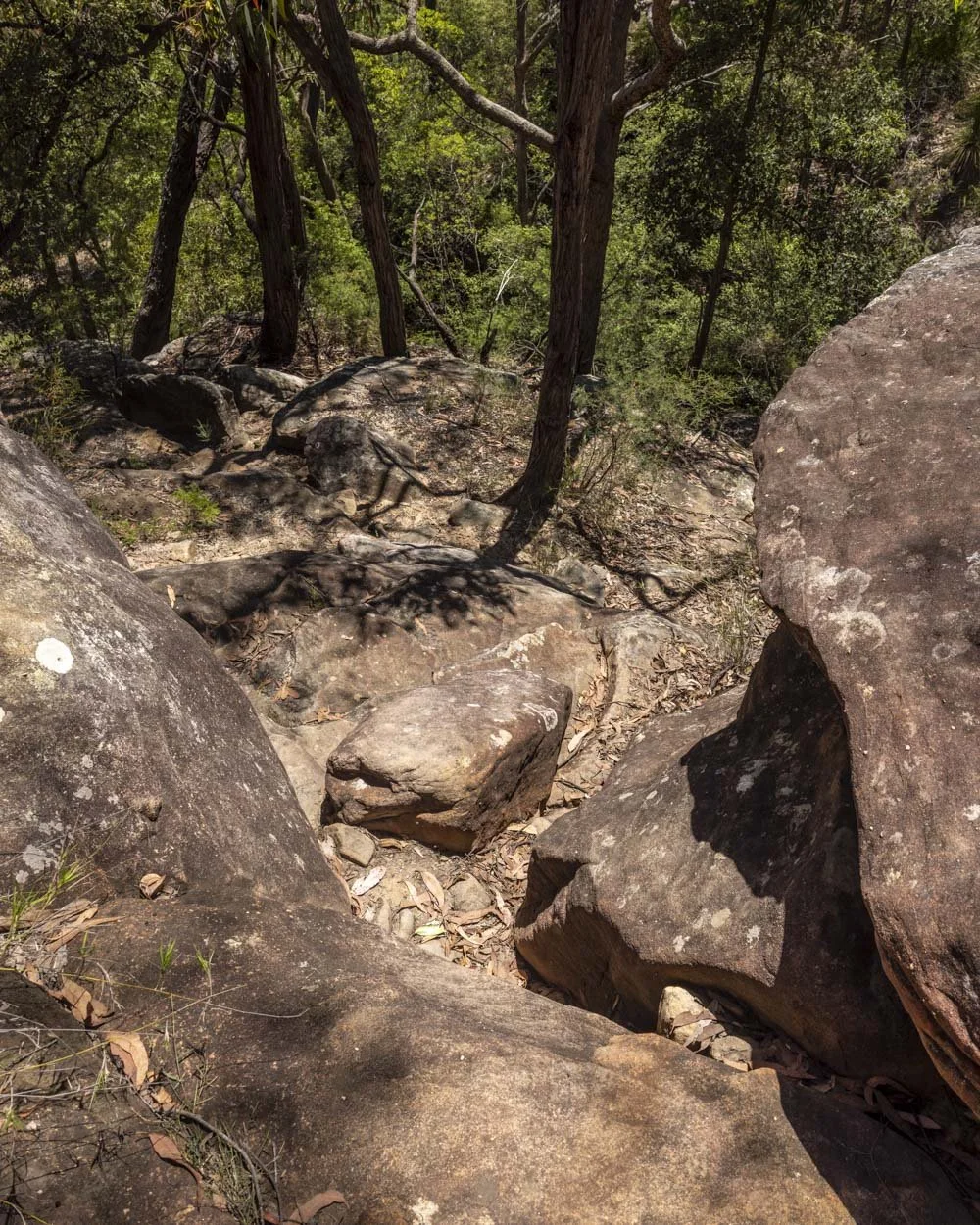 The Duck Hole: an easy Blue Mountains beach day — Walk My World