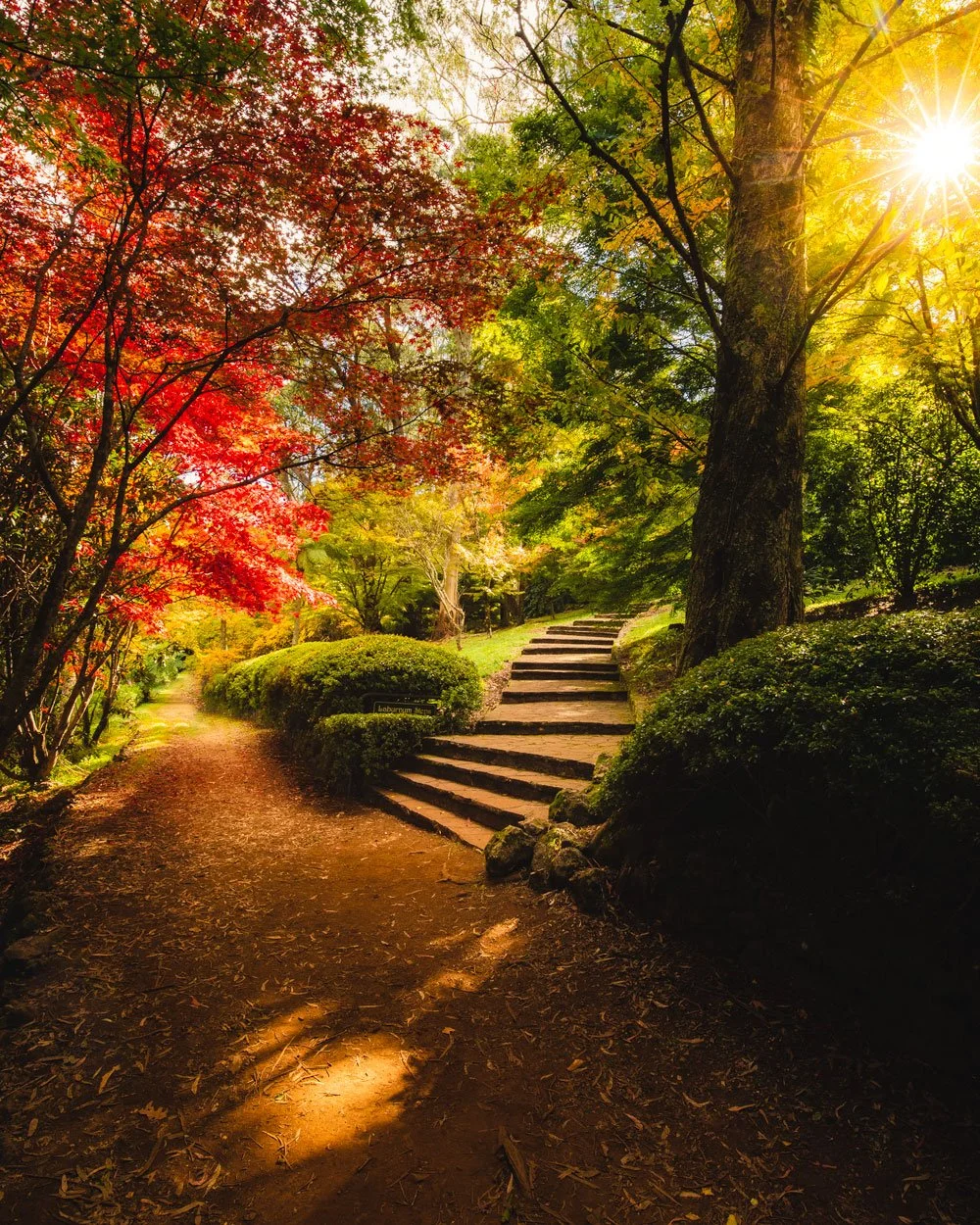 51 things to do in the Blue Mountains without a tour! — Walk My World