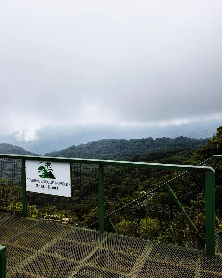 Santa Elena Cloud Forest Reserve: is this Costa Rica's most magical ...