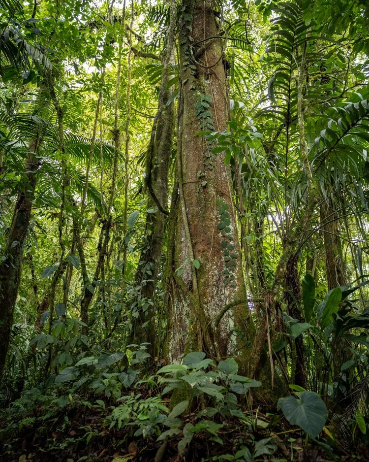 19 of the best hikes Costa Rica: from rainforest to volcanos to wild ...