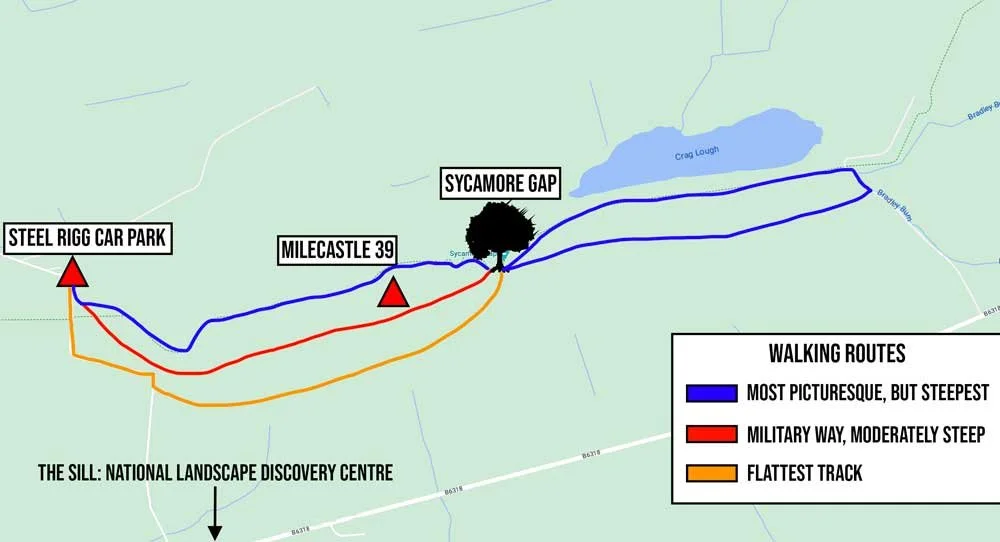 Sycamore Gap: Things to know before visiting & the shortest walk to get ...