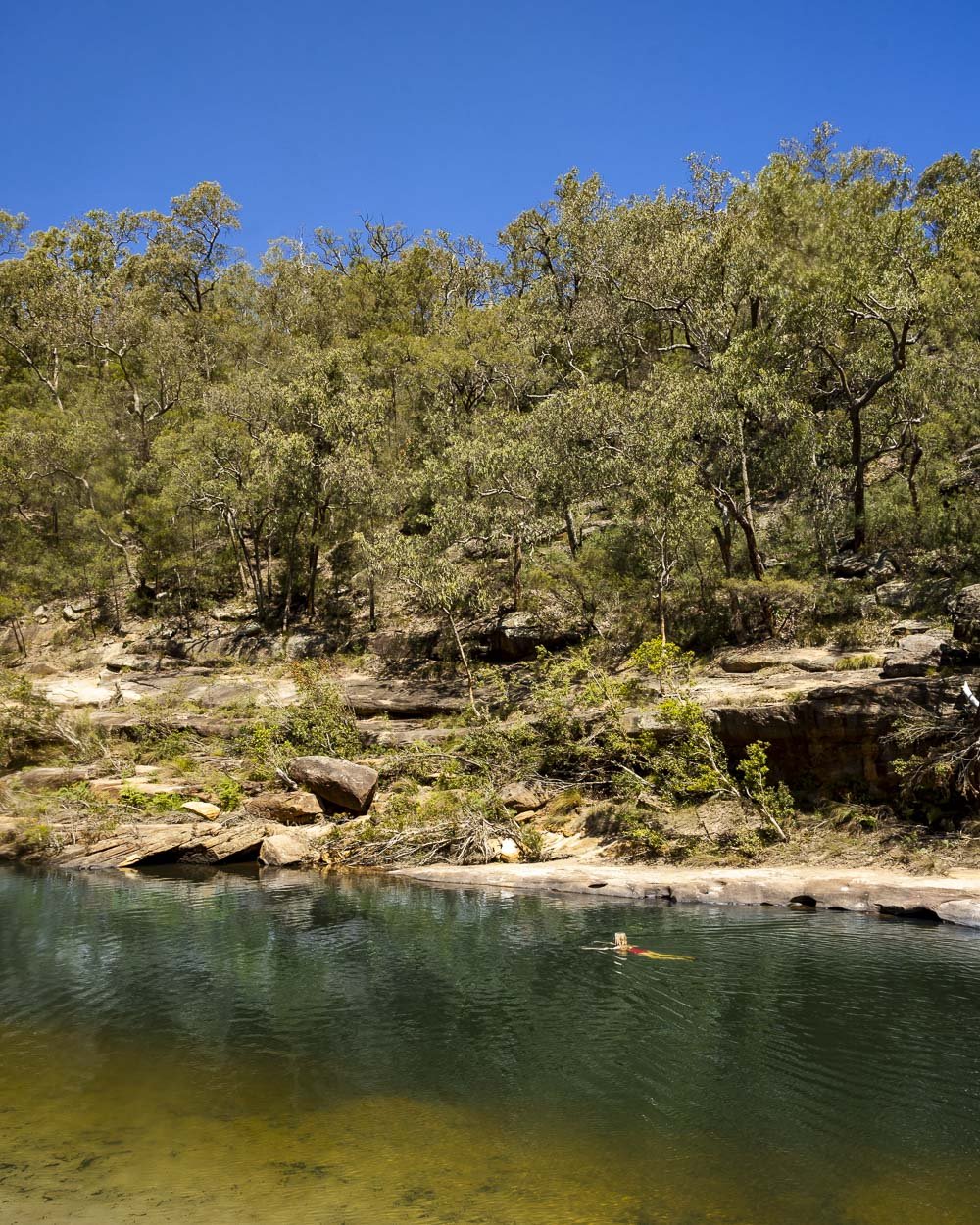 Insider tips for Jellybean Pool and other nearby alternatives — Walk My ...