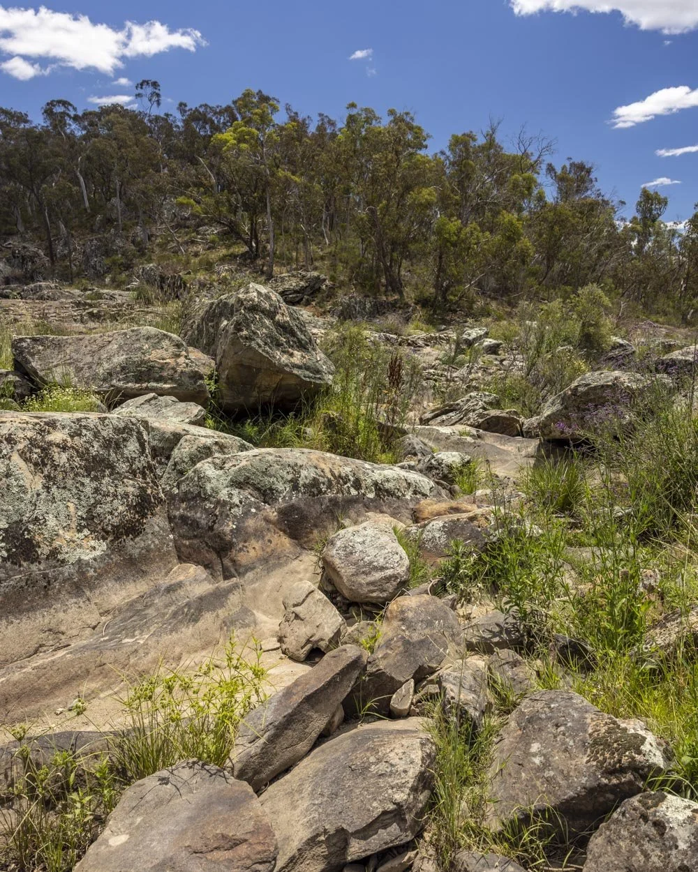 The Falls Water Falls: the most beautiful wild swimming spot in Orange ...