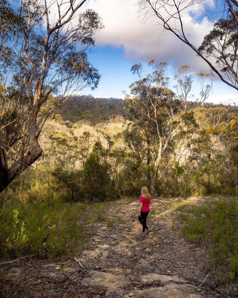 Pool of Diana: wild swimming in the Blue Mountains' hidden paradise ...