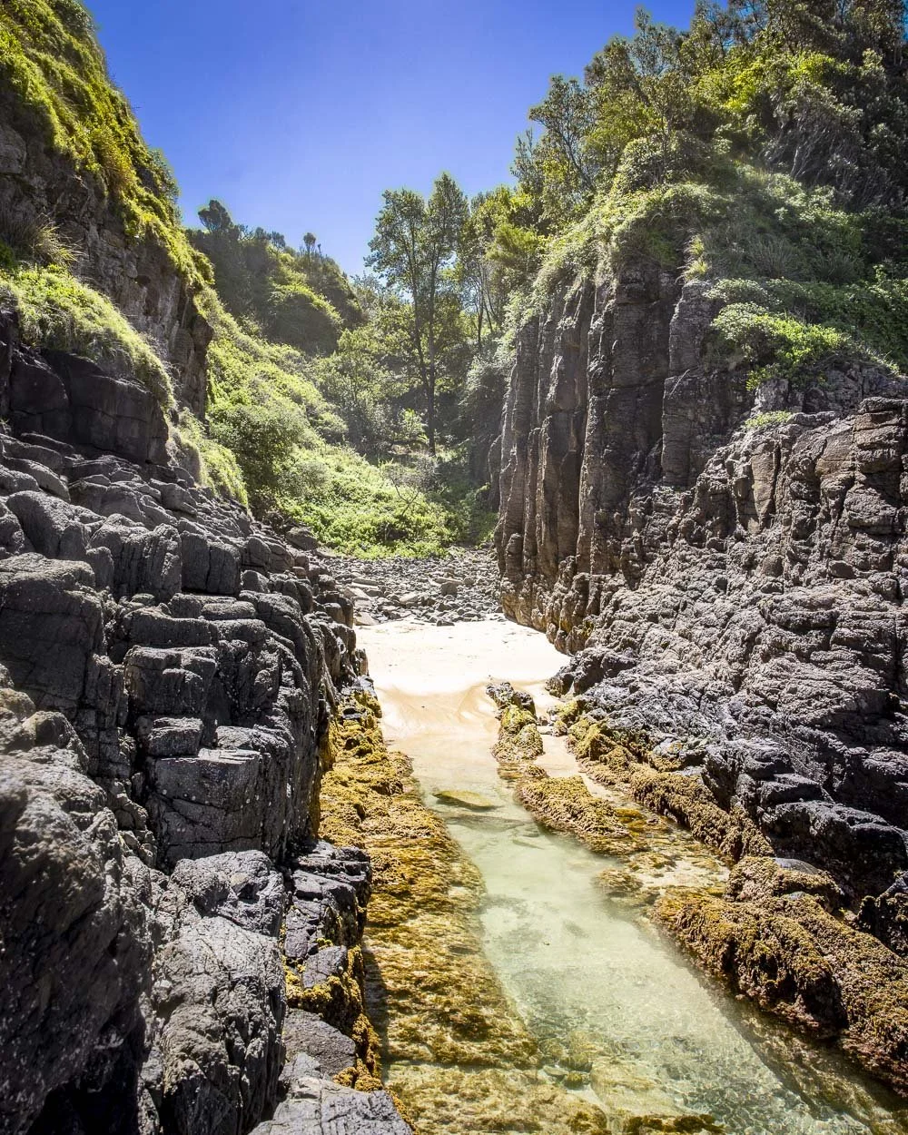 How to find the best rockpools at Cathedral Rocks in Kiama — Walk My World