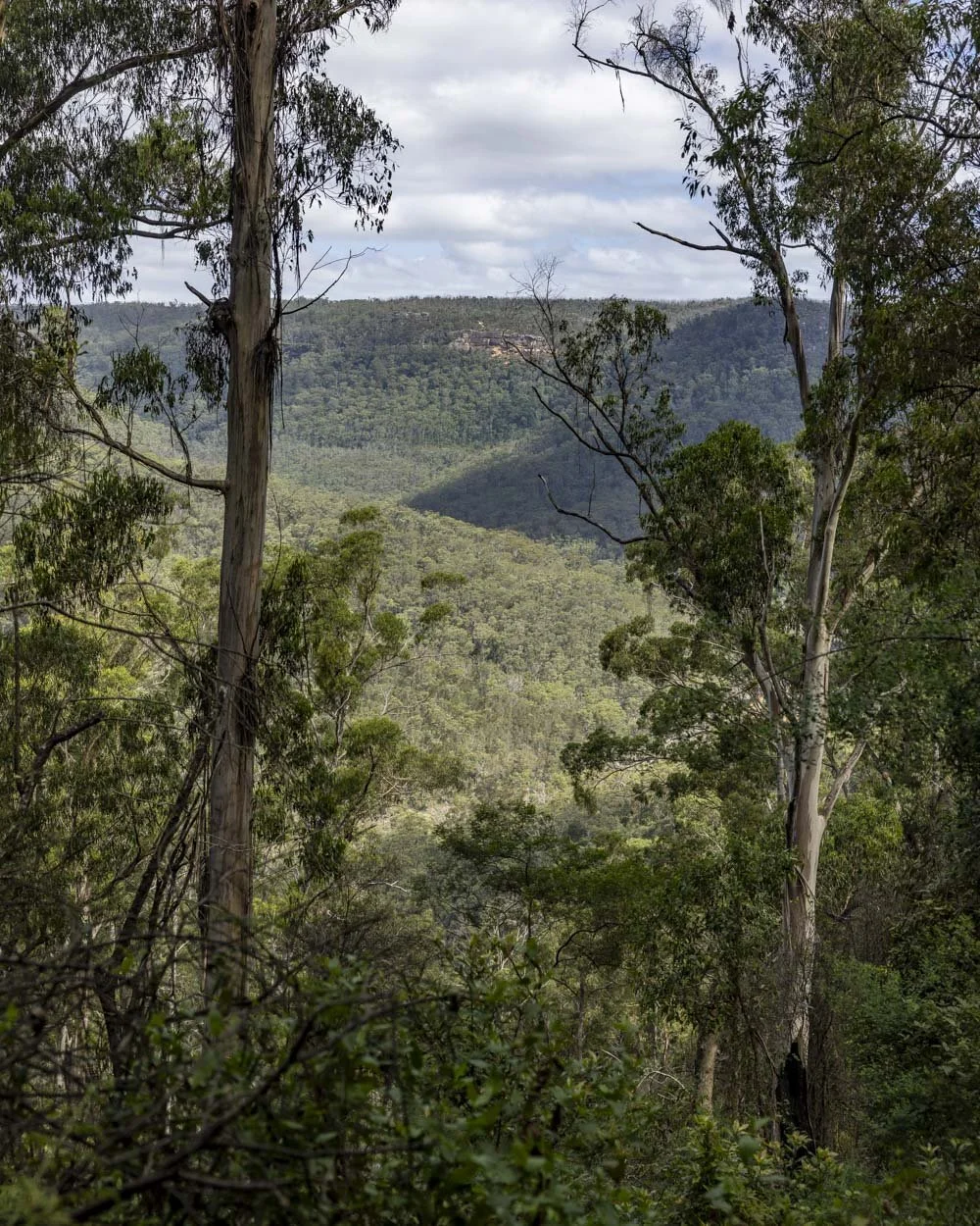 Bundanoon Creek: how to find the secret Fairy Canyon Falls — Walk My World