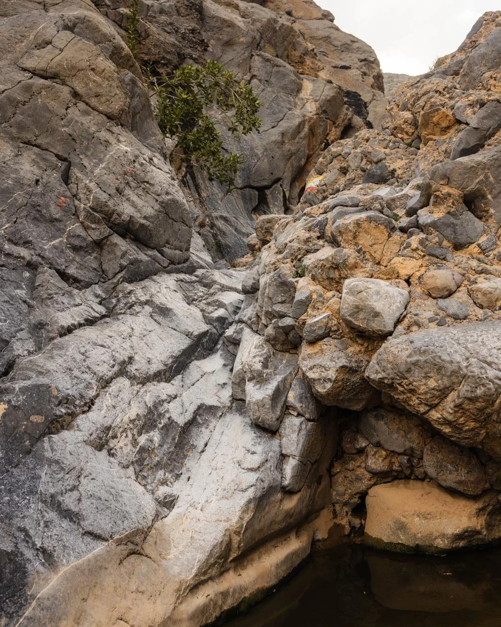 Wadi Qurai: stunning pools without the crowds — Walk My World