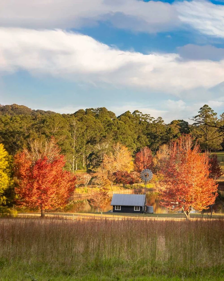 17 Unmissable things to do in Bilpin [for a weekend to remember] — Walk ...